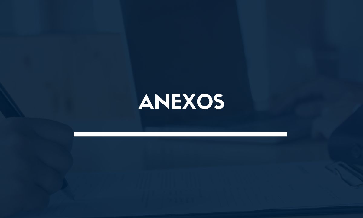 Anexos en Trabajo Académicos: Fácil y Sencillo